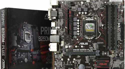 1151 asus prime B250M-plus