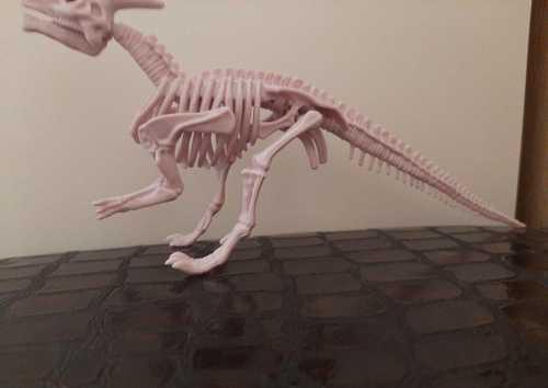 Пластмассовый скелет динозавра