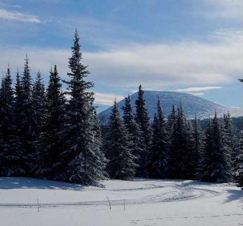 Туры на Большой Иремель и Инзерские Зубчатки