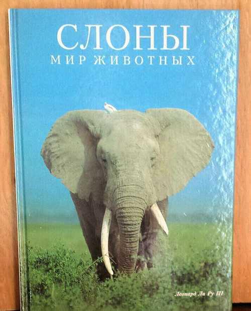 Мир животных Слоны Цветные иллюстрации