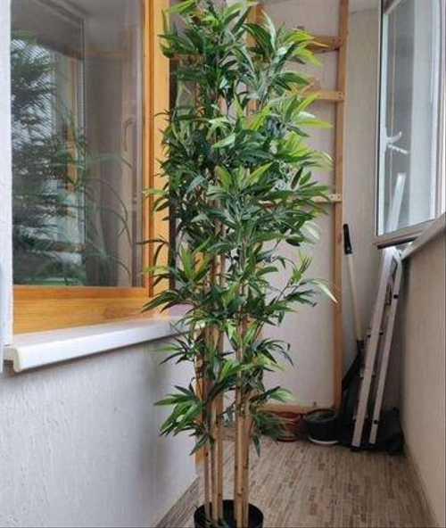 Искусственное растение бамбук