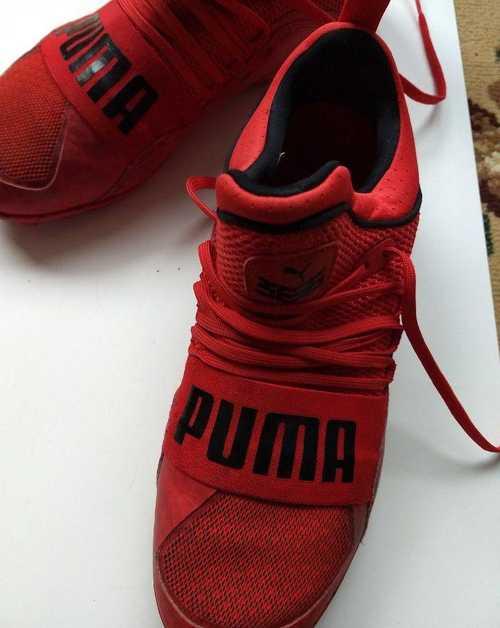 puma men's 365 ignite