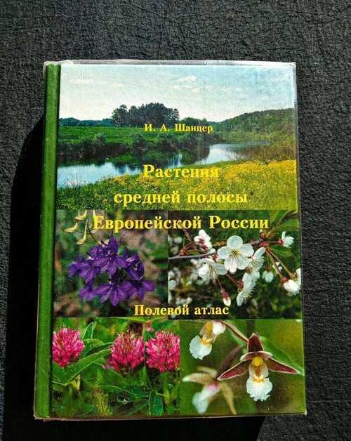 Растения средней полосы Европейской России. И. А