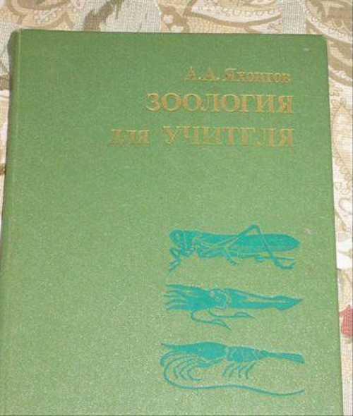 Зоология для учителя. Беспозвоночные. Яхонтов А.А