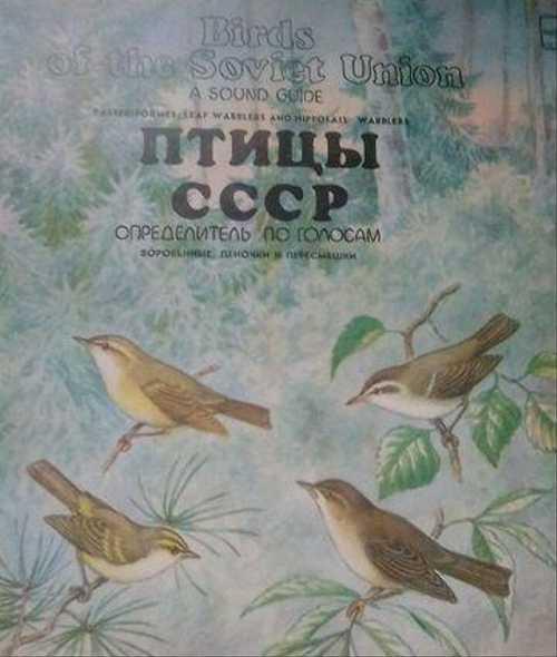 Определитель фауны ссср. Определитель птиц СССР. Определитель птиц по голосу. Пластинка СССР про птиц. Птичий определитель СССР.