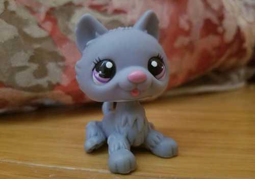 Littlest pet shop