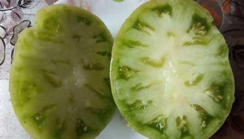 Семена коллекционных томатов - зелёные