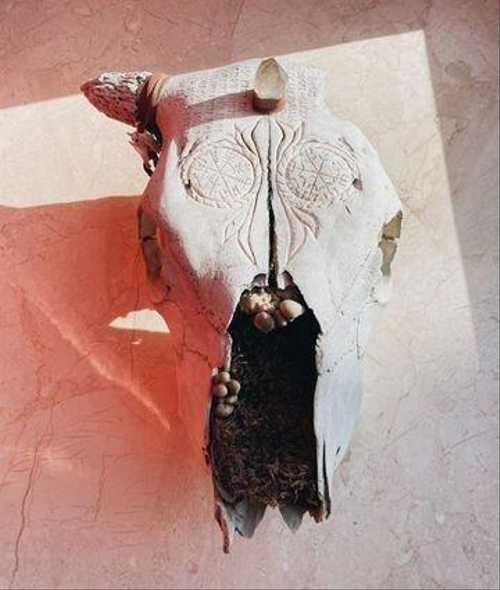 Декоративный череп коровы, покрытый рунами