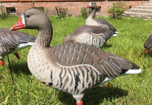 Чучела гусей Greenhead Gear Pro-Grade (GHG)