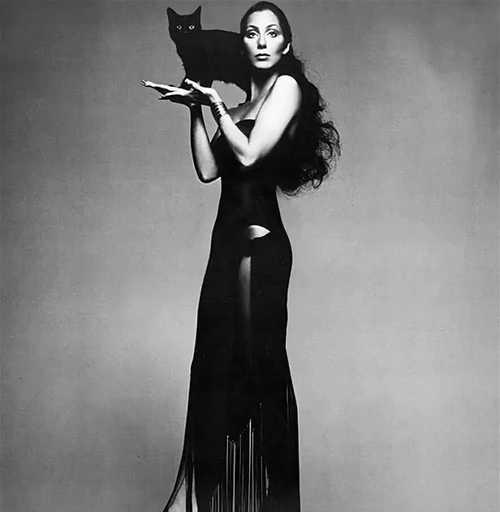 Cher -Dark Lady