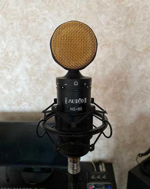 Микрофон конденсаторный ProAudio NS-80