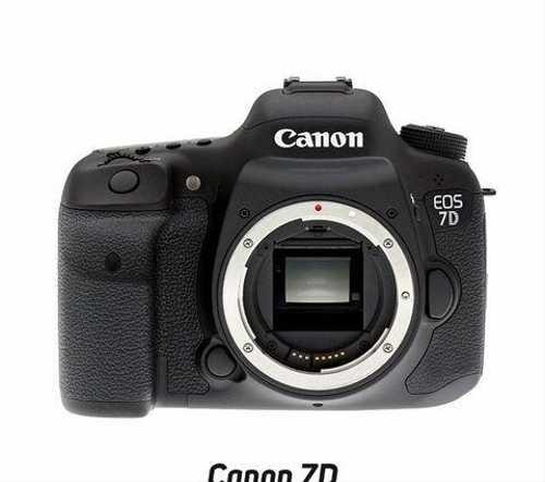Аренда фотокамеры - Canon EOS 7D