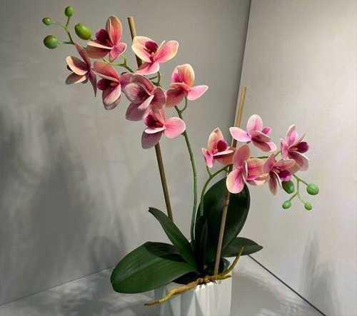 Композиции из иск. орхидей
