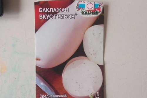 Рассада баклажан " Вкус грибов"