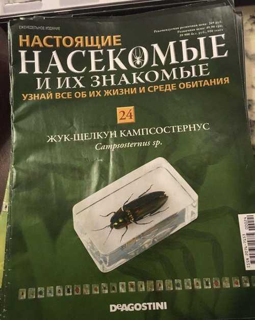 Насекомые и их знакомые