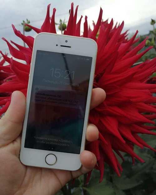 Телефон iPhone SE32