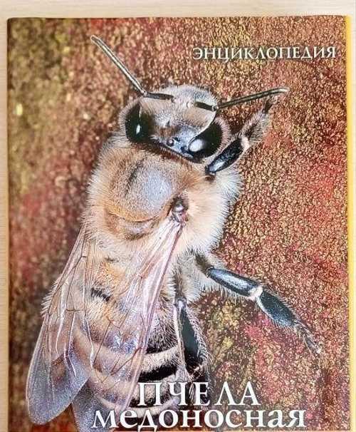 Пчела медоносная. Apis mellifera L. Энциклопедия