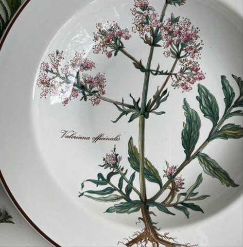 Villeroy boch botanica