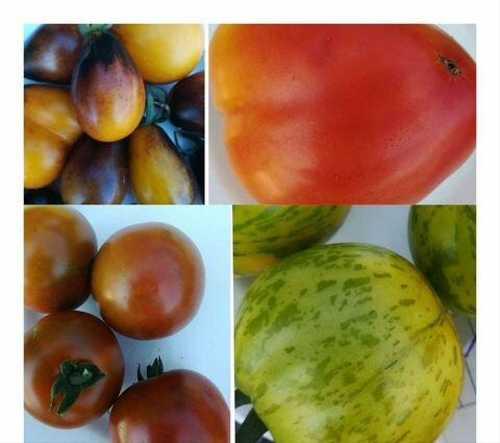 Семена томатов редких коллекционных сортов