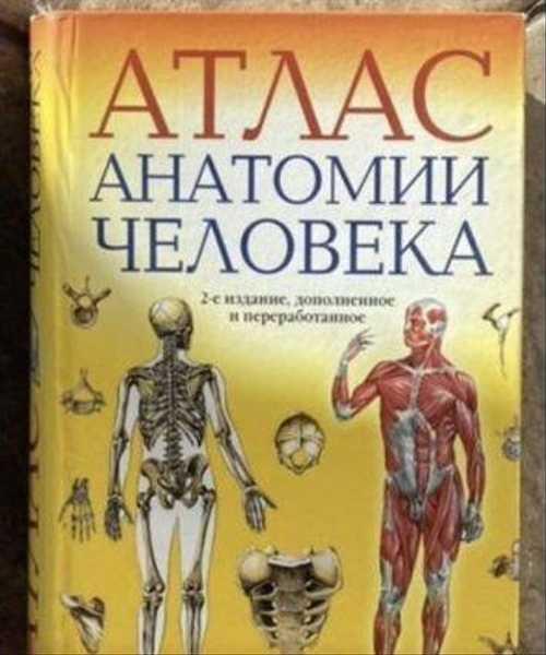 Книги остеопатия