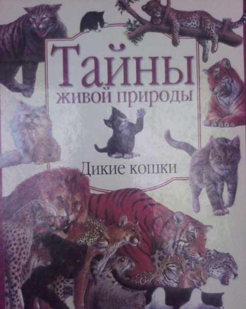 Книга. Тайны живой природы: дикие кошки
