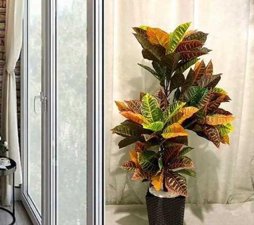 Кротон Респект - растение цветок искусное