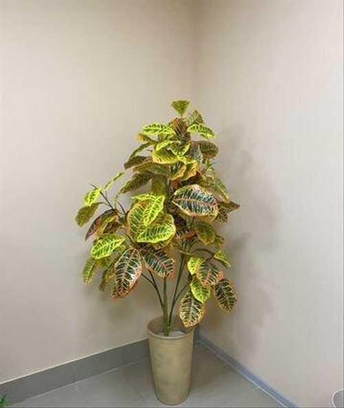 Кротон Кустовой искусственное растение домой
