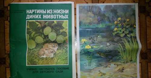 Картины из жизни диких животных. СССР, 1984 год