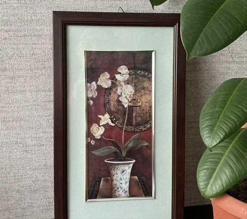 Картина в раме, репродукция «Орхидея» 38,5х22,5