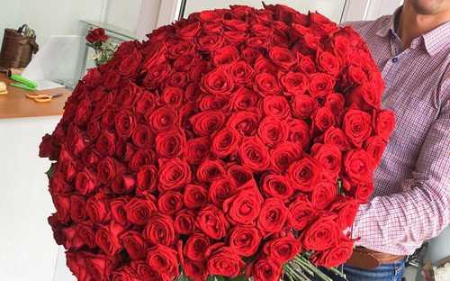 Розы красные огромные букеты