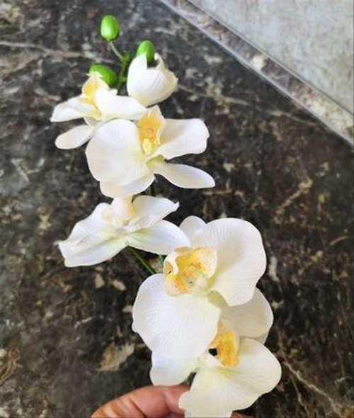 Орхидея Фаленопсис (ветвь) белая искусственная