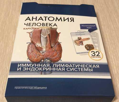 Карточки по анатомии