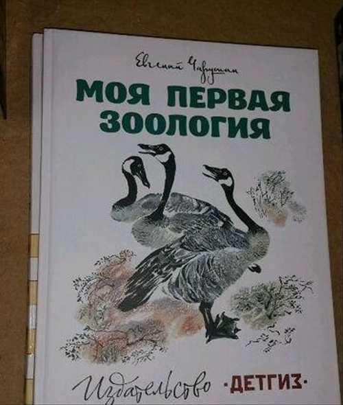 Моя первая зоология книга о птицах