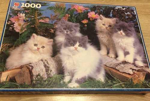 Пазл Jumbo 1000 деталей