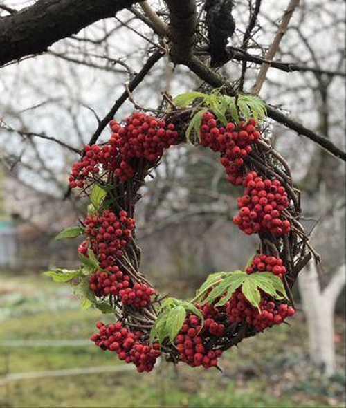 Заготовка для новогоднего венка