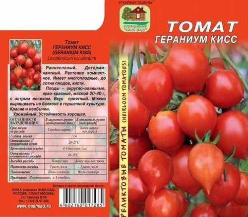 Рассада томатов поцелуй Герани