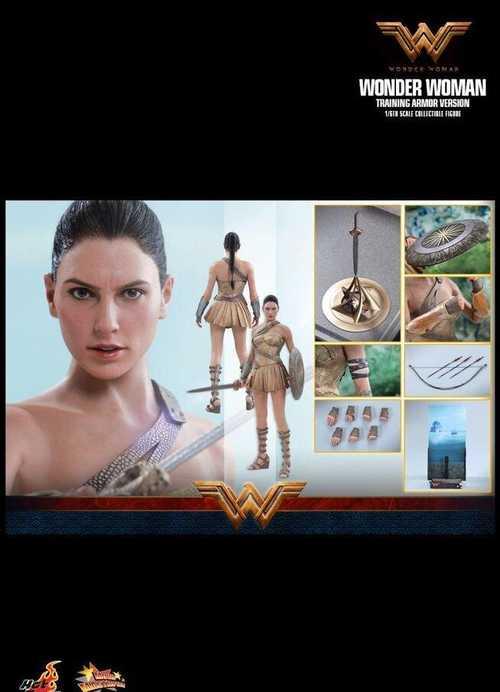 Hot Toys The Wonder Woman Training Armor version