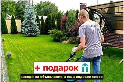 Газон рулонный