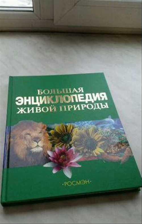Энциклопедия