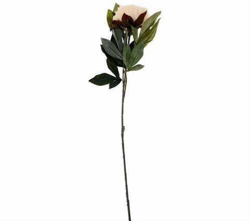 Цветок искусственный пион высота - 80см, кремовый Lefard 283-611