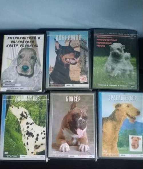 DVD диски "Собаки"