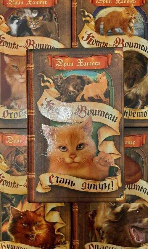 Книги "Коты воители" 5 томов