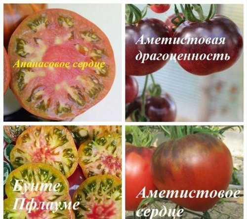 Семена томатов (экзотика)