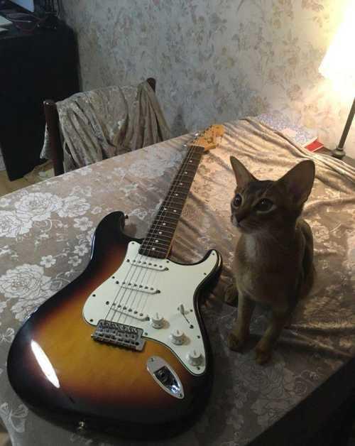 Fender Stratocaster (Мексика)