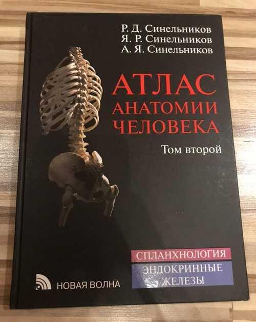 Атлас анатомии человека Р.Д.Синельников 2 том