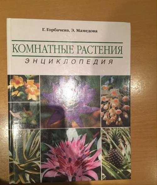 Комнатные растения