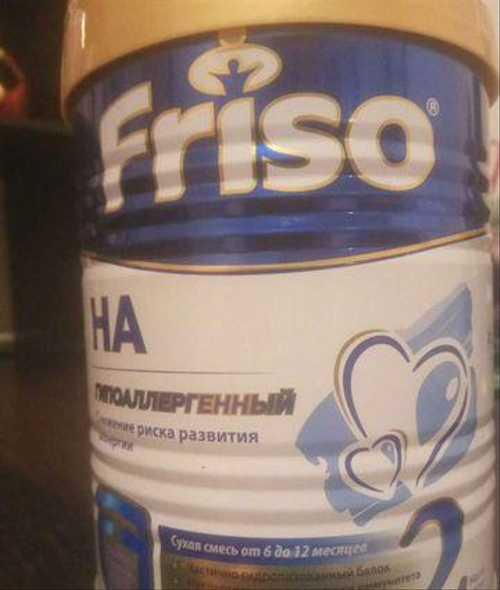 Friso HA 2