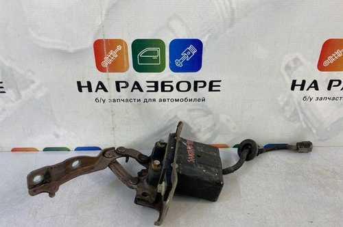 Петля капота передняя правая Hyundai Santa Fe DM