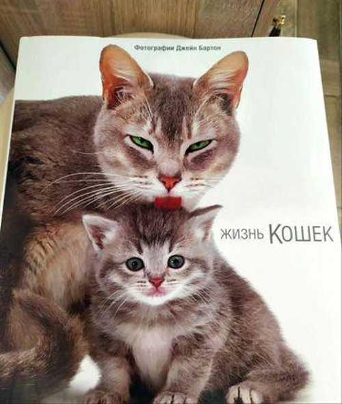 Книга - иллюстрации Жизнь Кошек