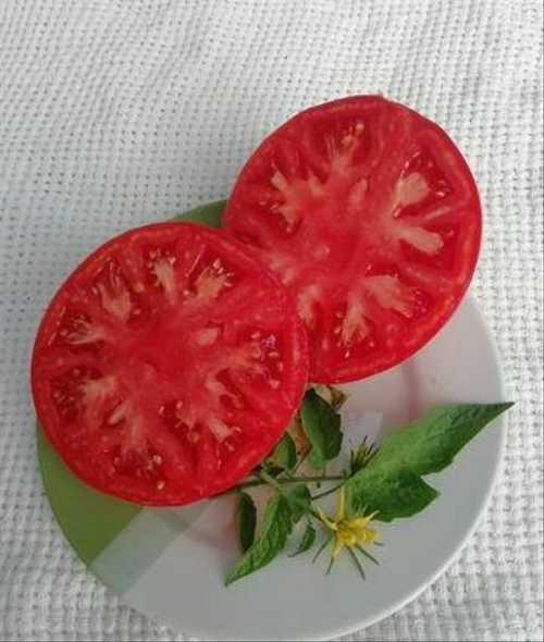 Семена старинного сорта помидоров, со времен СССР